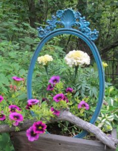 Using Mirrors To Reflect Light For Plants: An Elegant And Enlightening ...